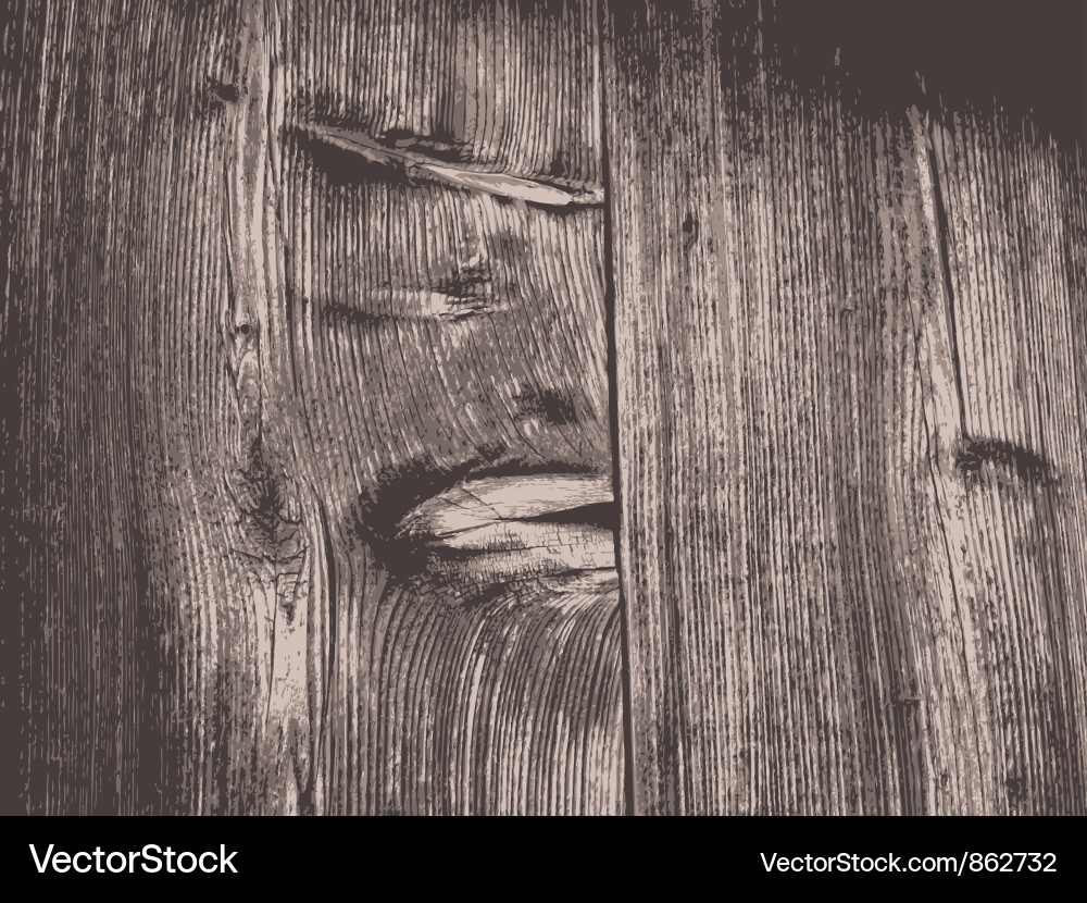 Wood texture Royalty Free Vector Image - VectorStock