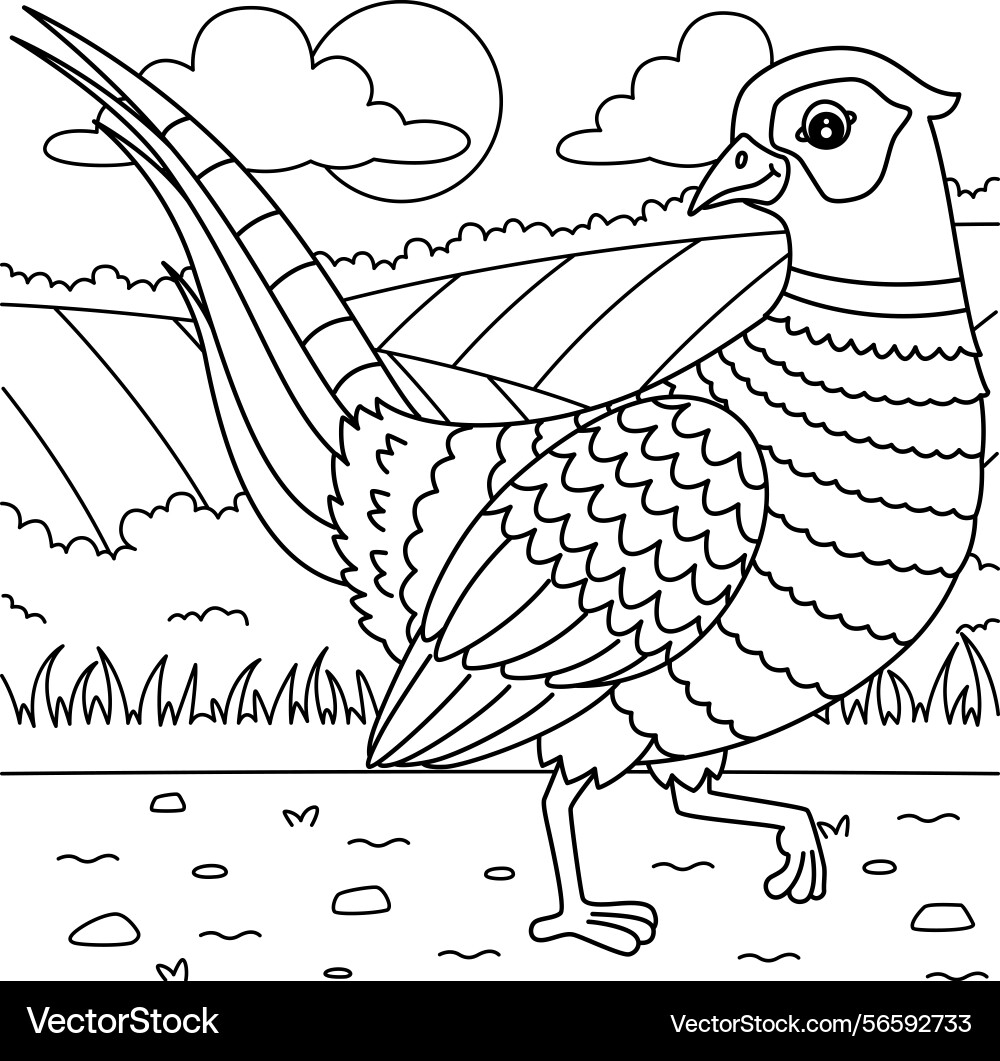 Bird common pheasant coloring page for kids Vector Image
