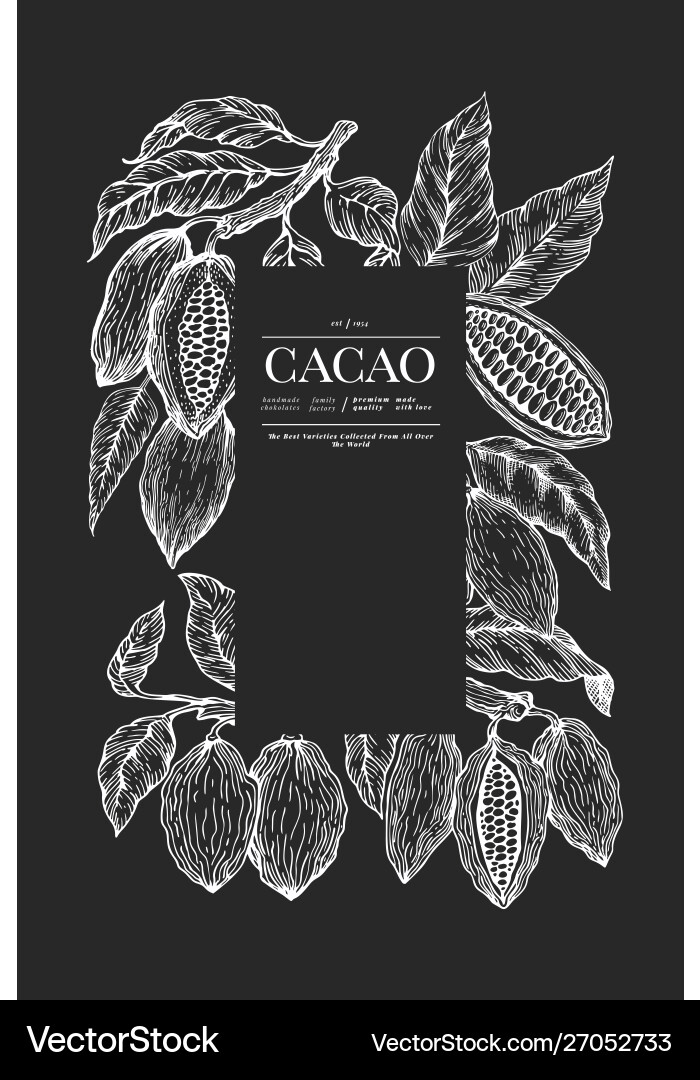 Cocoa banner template chocolate beans Royalty Free Vector