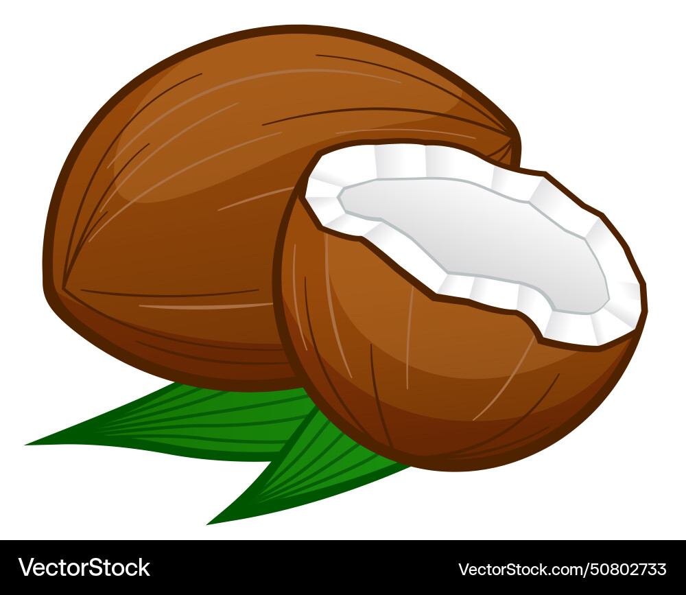 Coconut cartoon on white background Royalty Free Vector