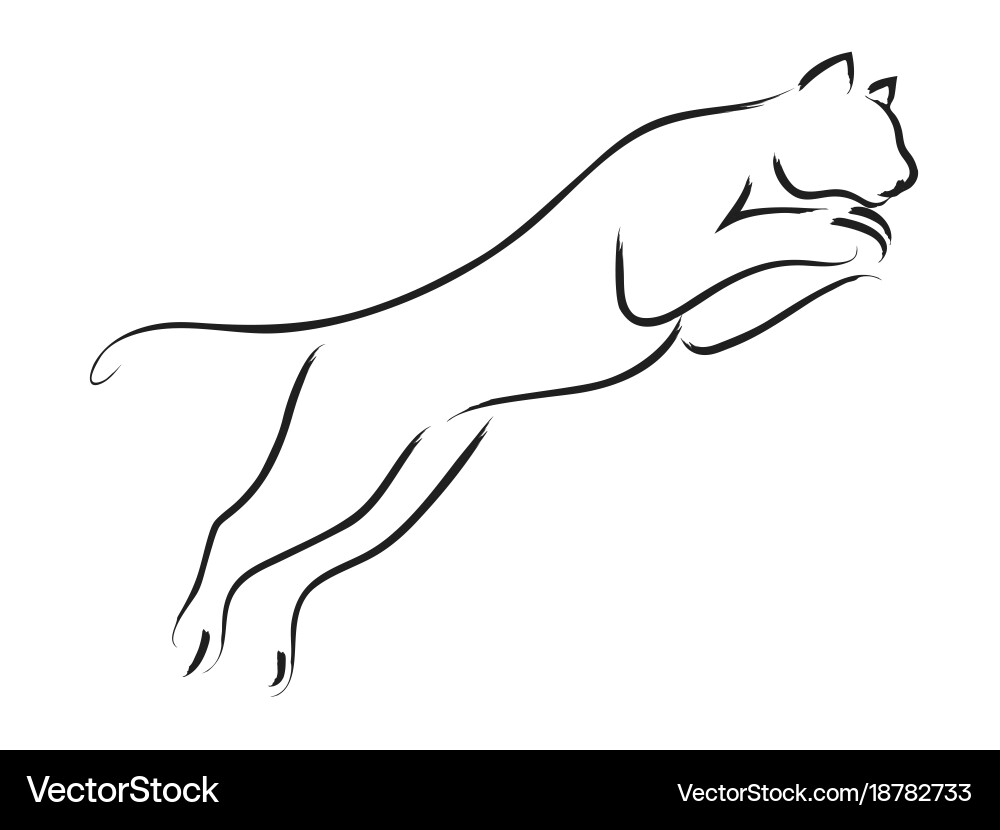 Puma Royalty Free Vector Image - VectorStock