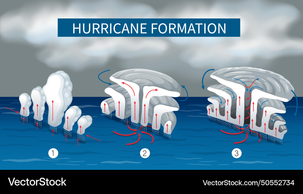 Showing the process of hurricane formation Vector Image