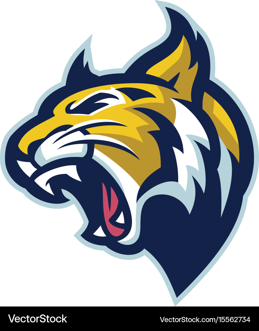 Wildcat head Royalty Free Vector Image - VectorStock