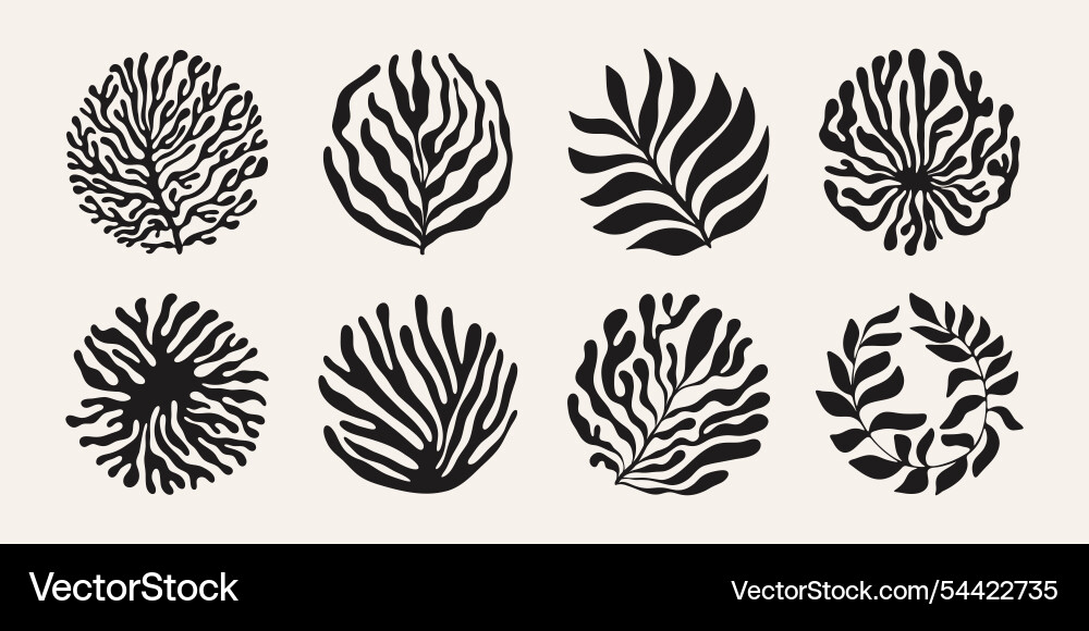 Abstract organic flower elements modern floral Vector Image