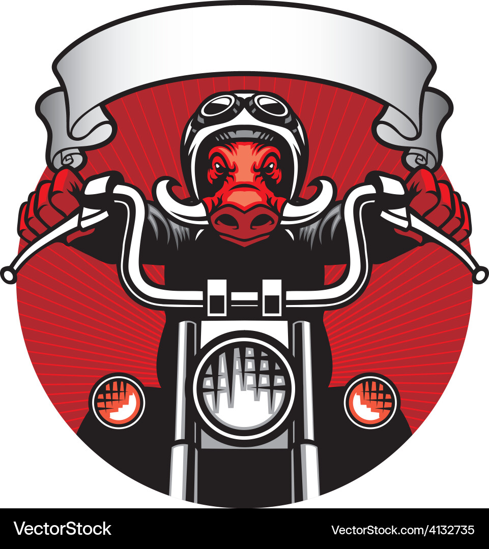 Wildhog biker Royalty Free Vector Image - VectorStock