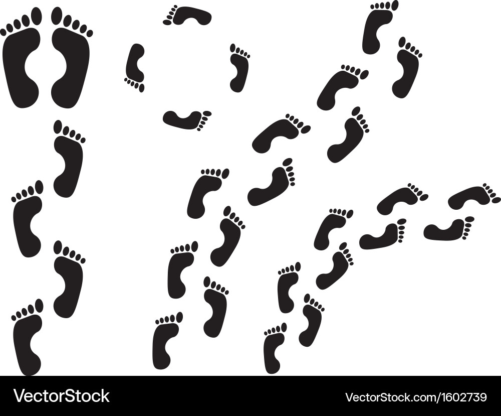 Human steps Royalty Free Vector Image - VectorStock