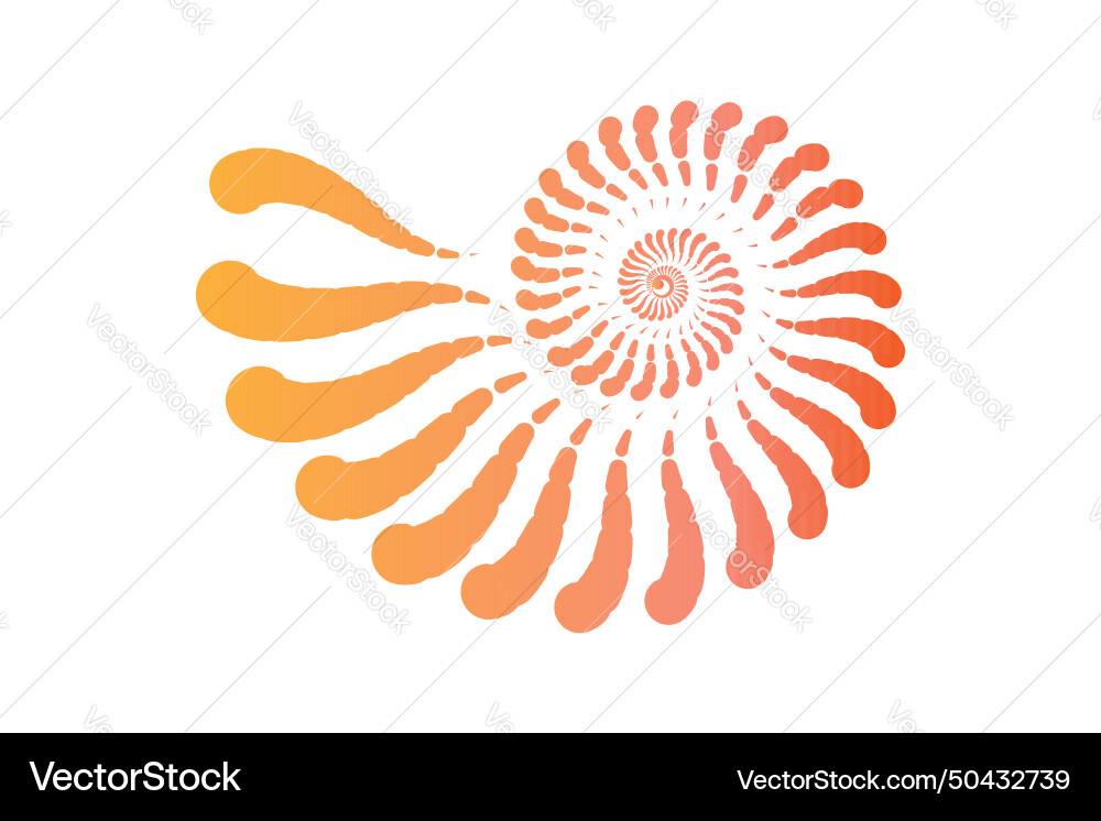 Nautilus shell spiral shape logo Royalty Free Vector Image Nautilus shell spiral shape logo Royalty Free Vector Image