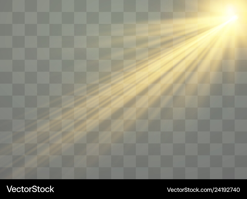 Transparent sunlight Royalty Free Vector Image