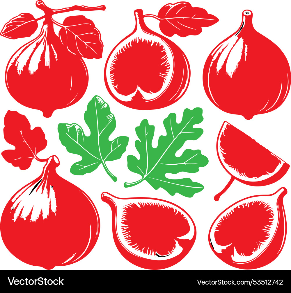 Line art fig branch Royalty Free Vector Image - VectorStock