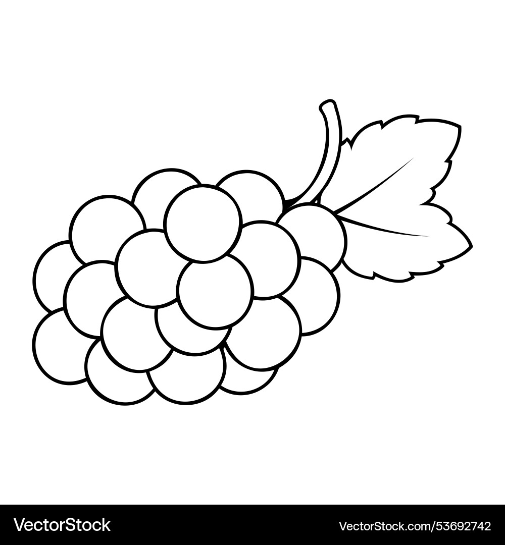 Line art of grapes Royalty Free Vector Image - VectorStock