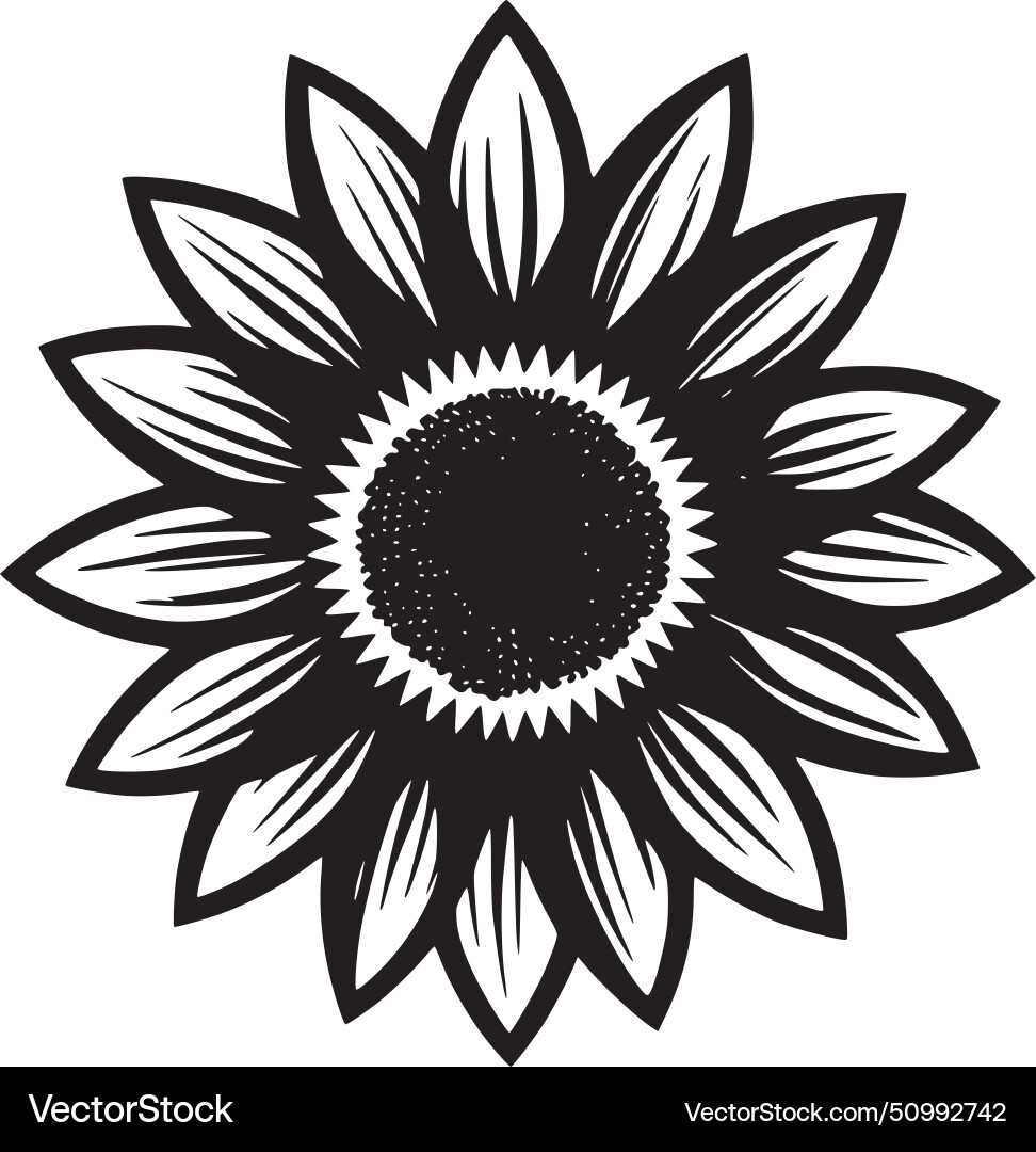 Sunflower - black and white isolated icon Vector Image