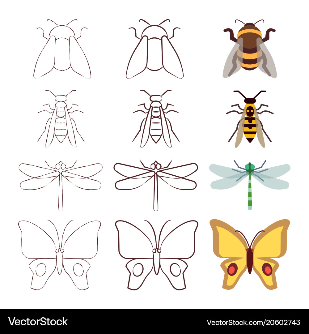 Sketch line and flat insects collection Royalty Free Vector