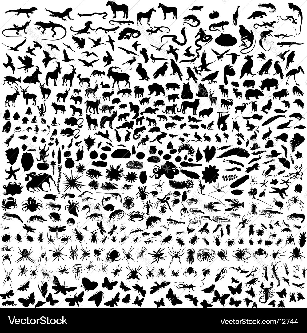 Rodents Vector Images (over 36,000)