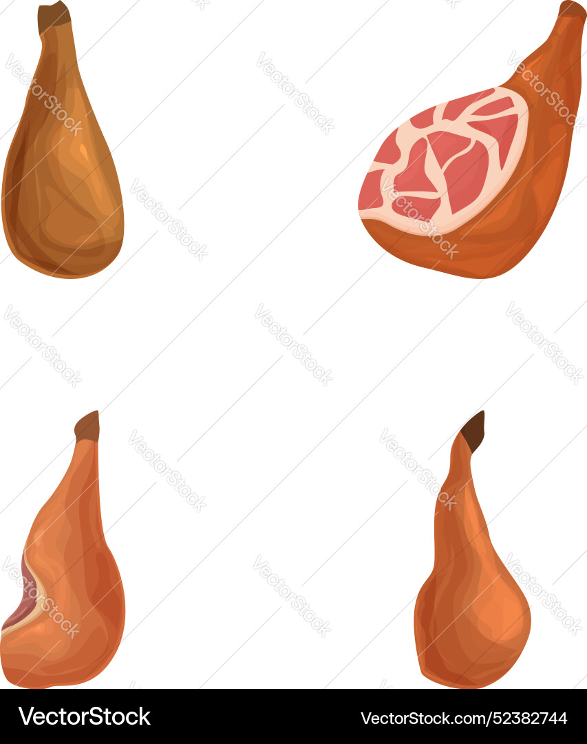 Collection of four butternut squash Royalty Free Vector