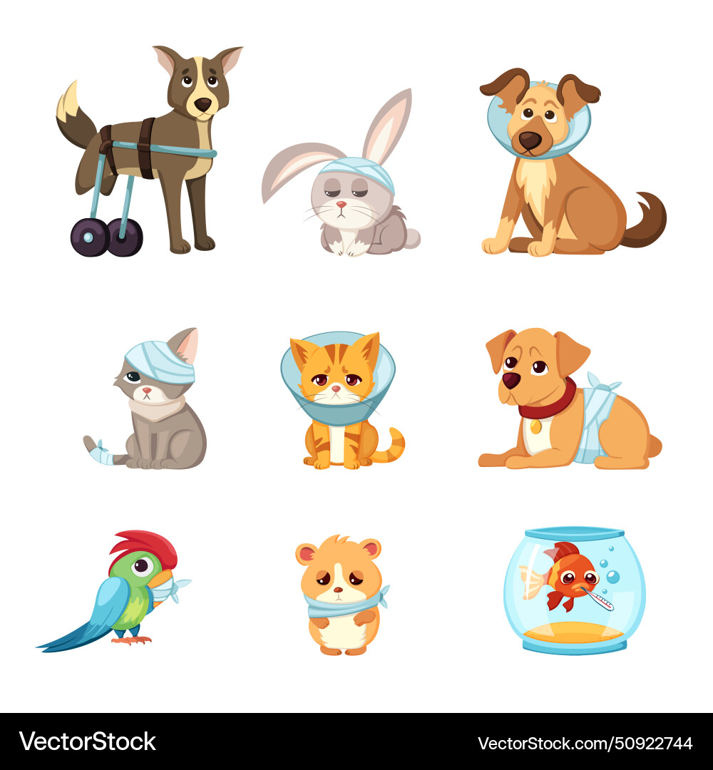 Sick Animals Cartoon Collection Royalty Free Vector Image
