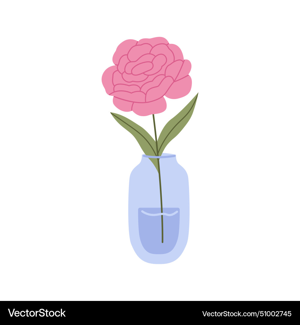 Rose in a glass vase Royalty Free Vector Image