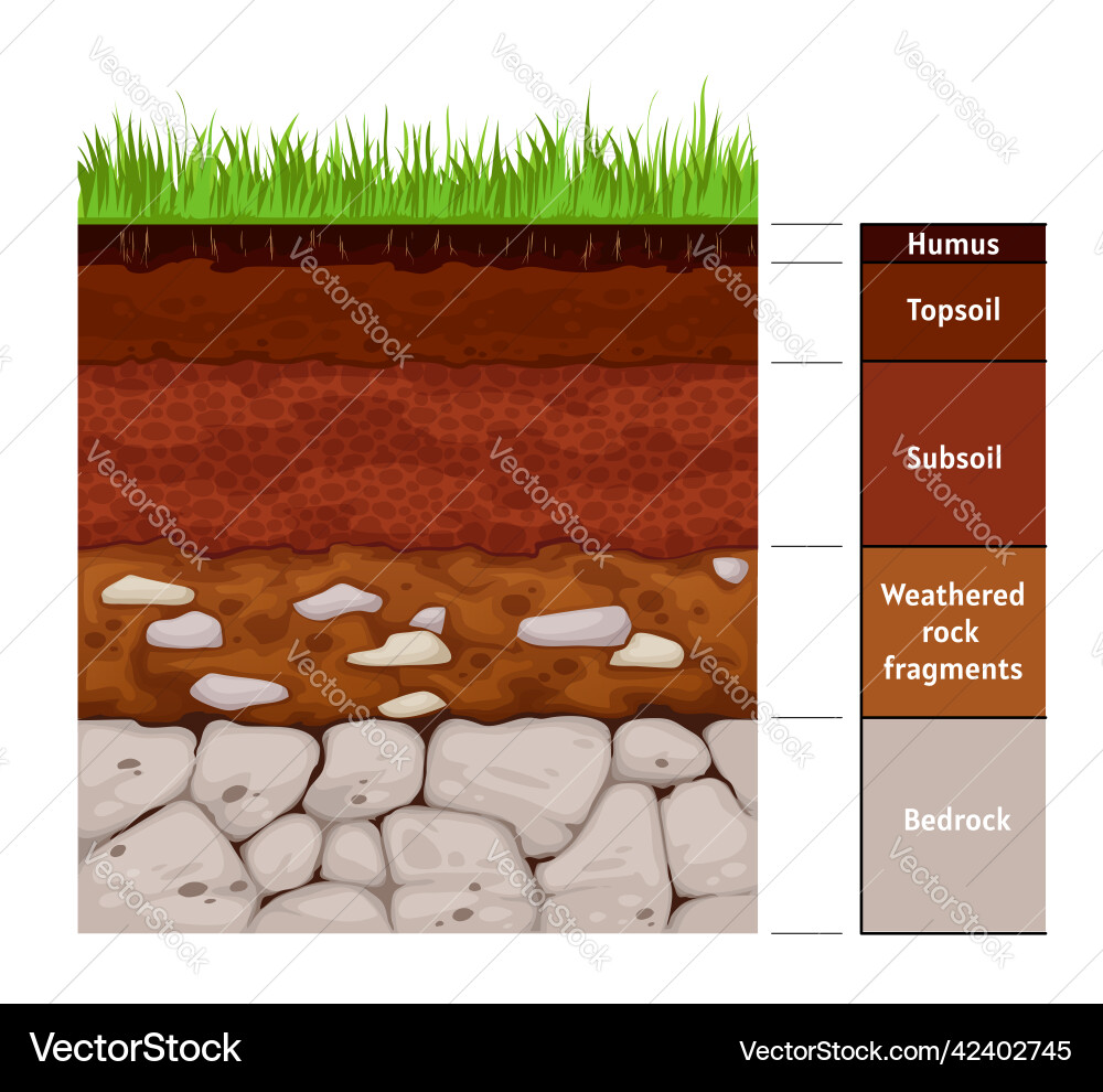 Soil layer infographic earth geology formation Vector Image