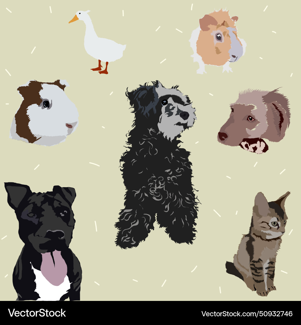 Pets Royalty Free Vector Image - VectorStock
