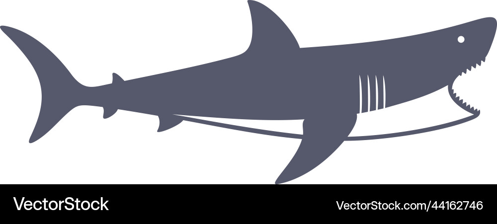 Shark Royalty Free Vector Image - VectorStock