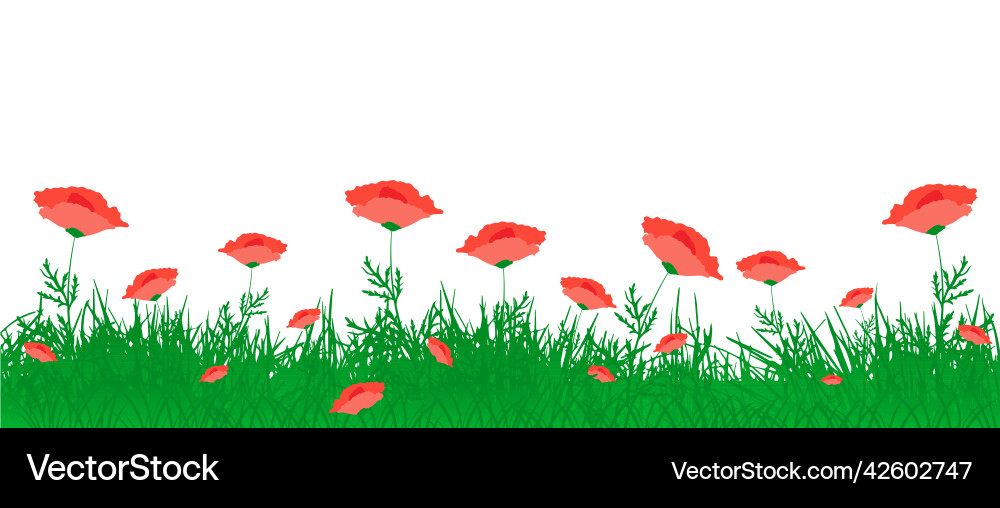Poppy field Royalty Free Vector Image - VectorStock