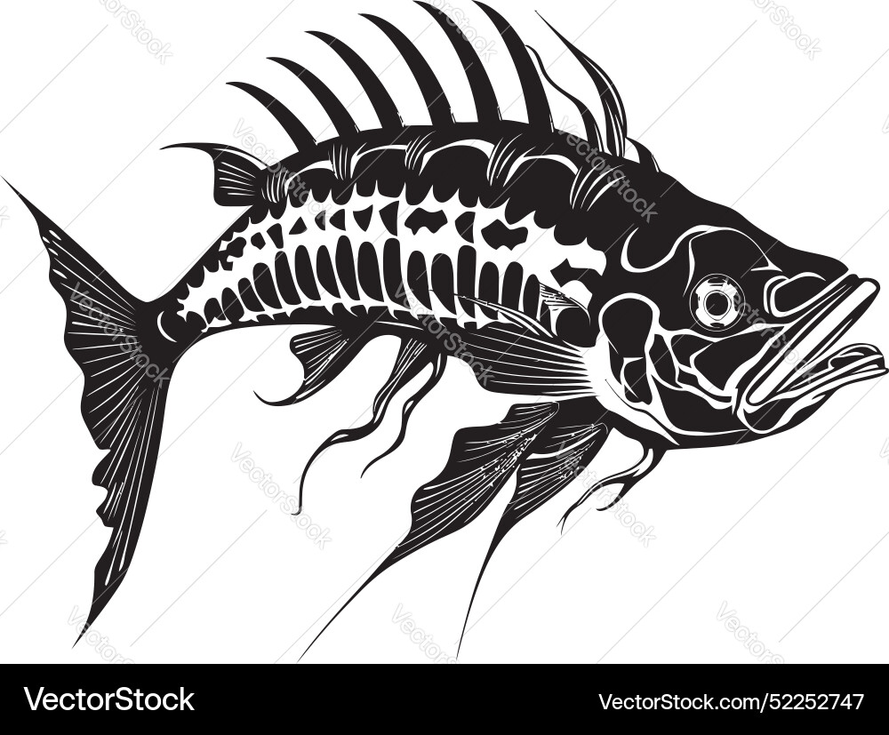 Stealth skeleton iconic black predator fish Vector Image