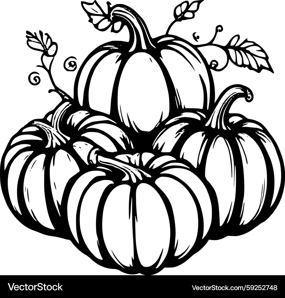 Patch outlines Vector Images & Graphics for Commercial Use | VectorStock