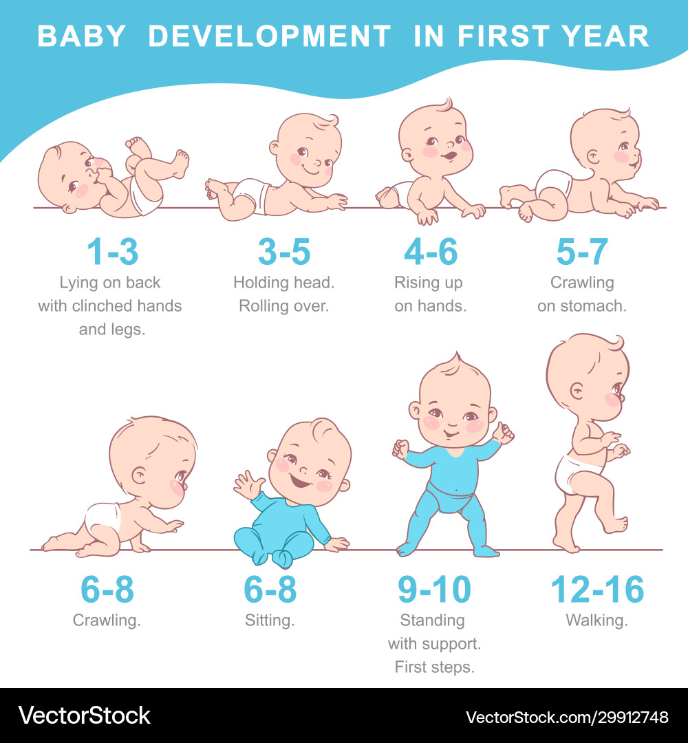 Set baby growth health and development icon Vector Image