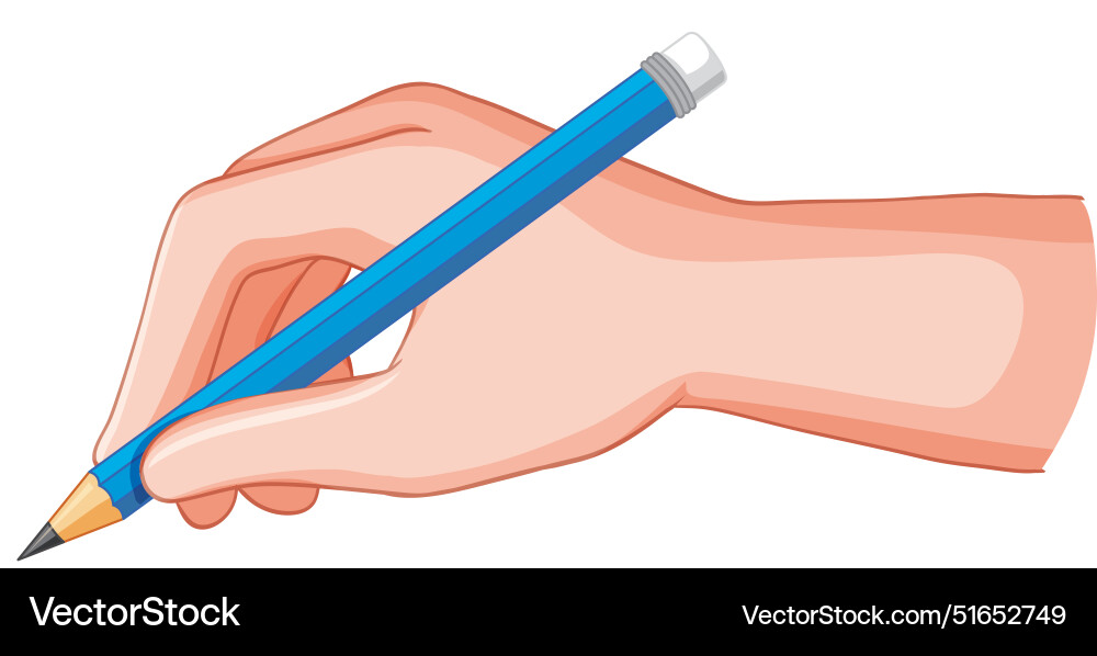 A hand holding a pencil Royalty Free Vector Image