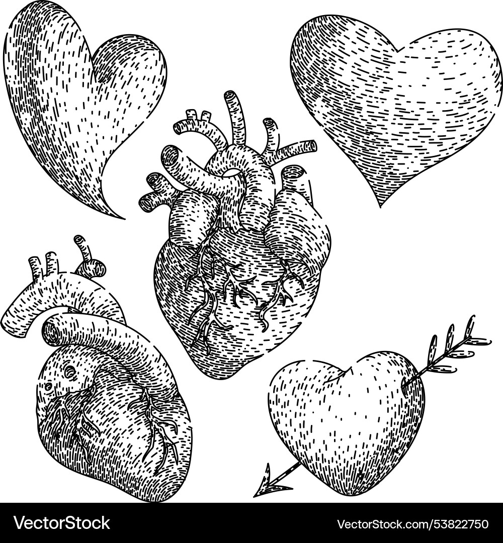 Heart set sketch hand drawn Royalty Free Vector Image