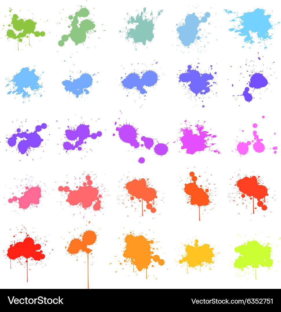 Paint splat isolated on white Royalty Free Vector Image