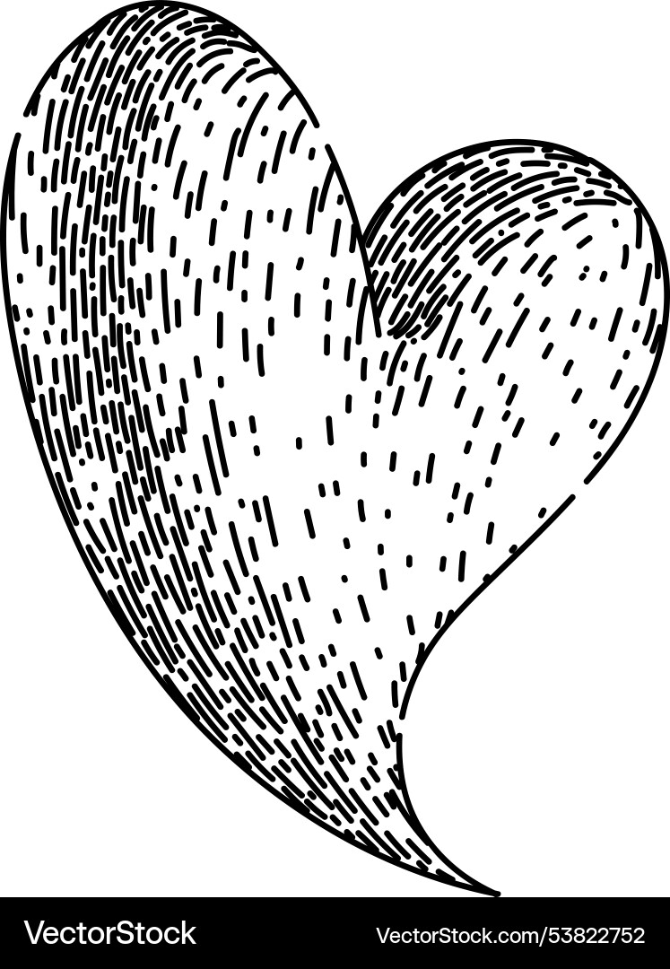 Cardiology heart sketch hand drawn Royalty Free Vector Image