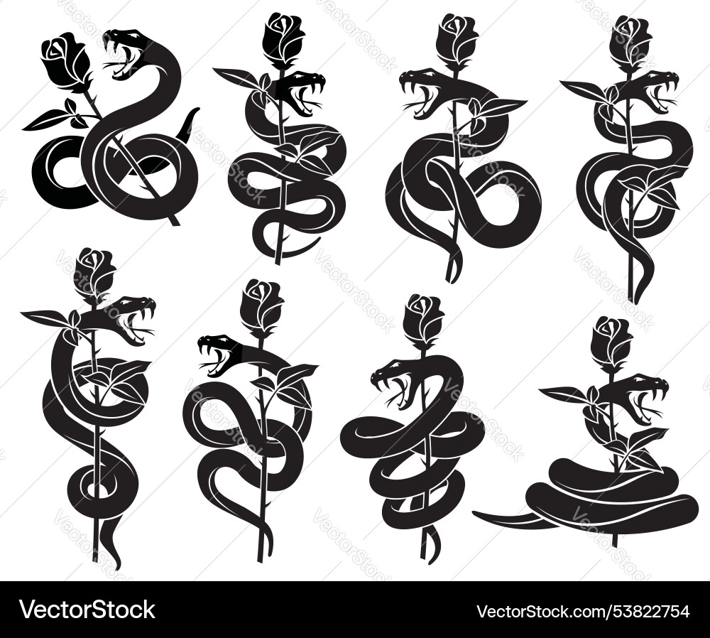 Collection of snakes Royalty Free Vector Image