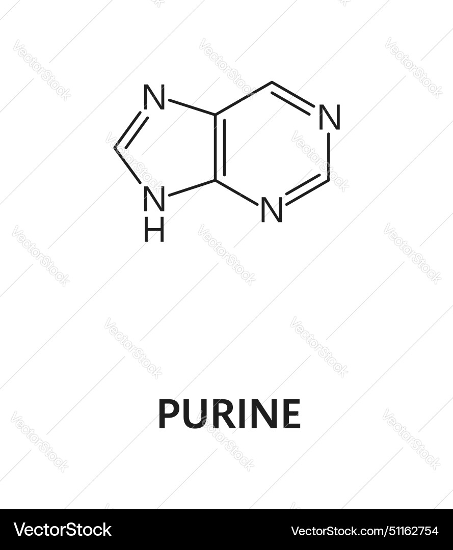 Purine nucleic acid nitrogenous base formula Vector Image