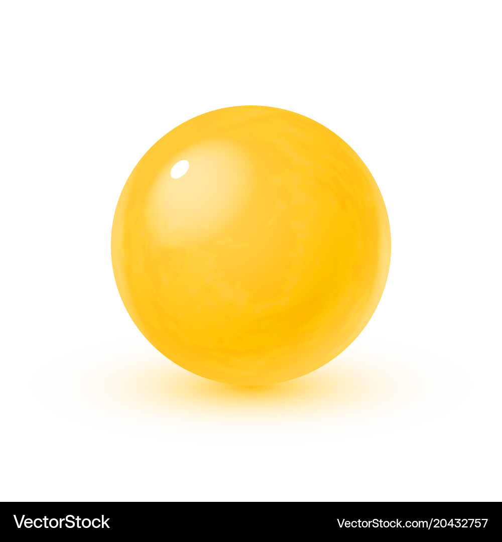 Realistic glass sphere with shadows reflection Vector Image