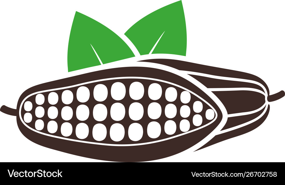 Cocoa Royalty Free Vector Image - VectorStock
