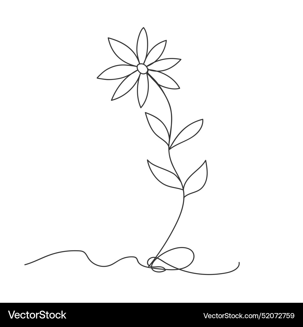 Beautiful flower one line continuous drawing Vector Image