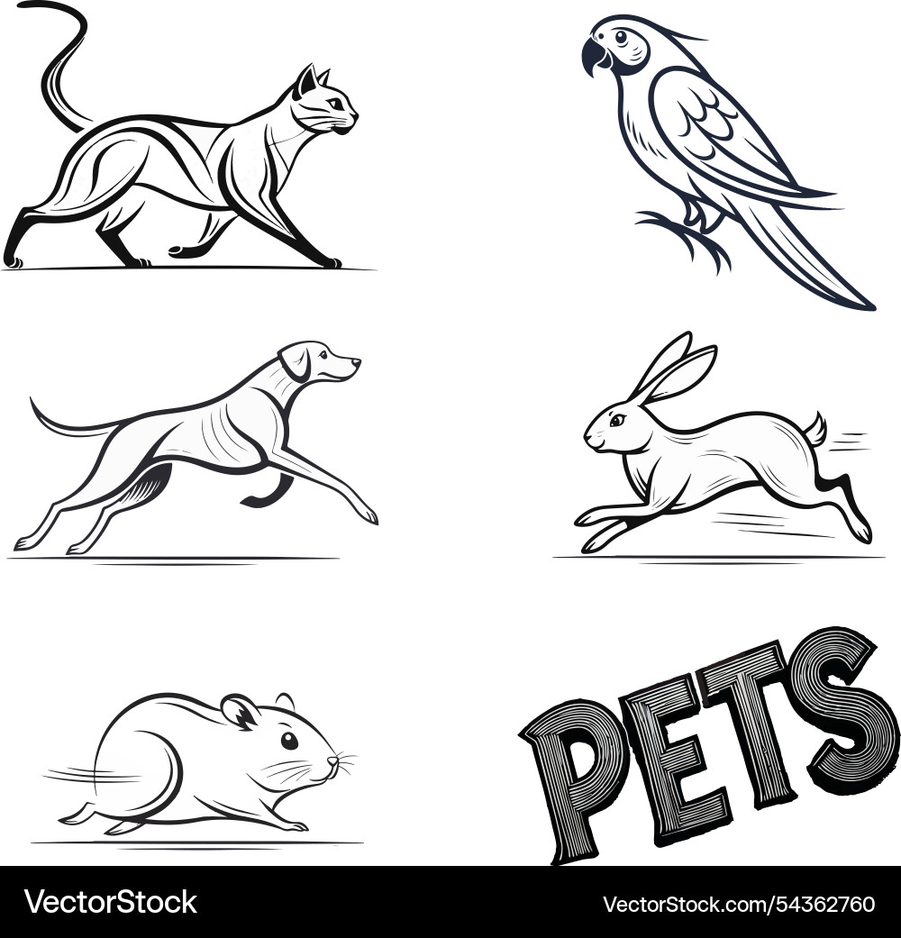 Pets Royalty Free Vector Image - VectorStock