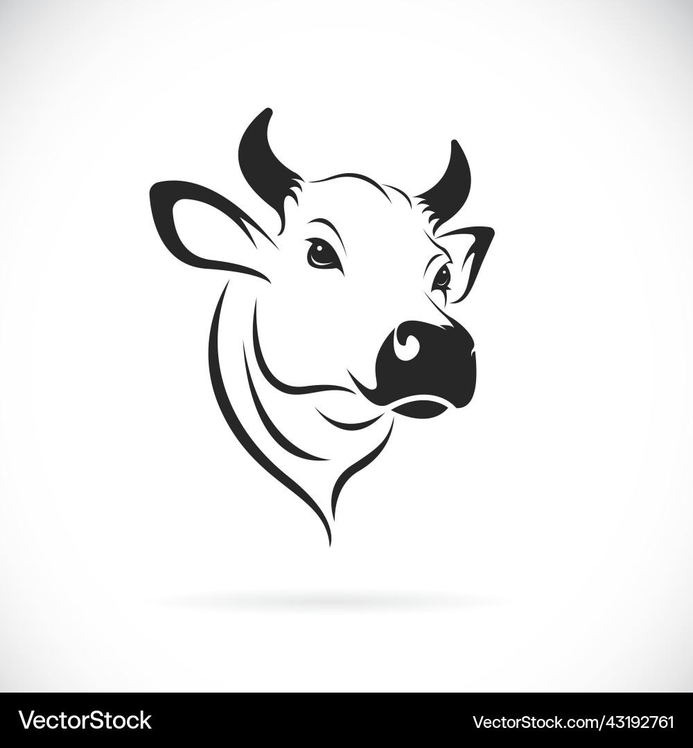 Cow head design on white background easy editable Vector Image
