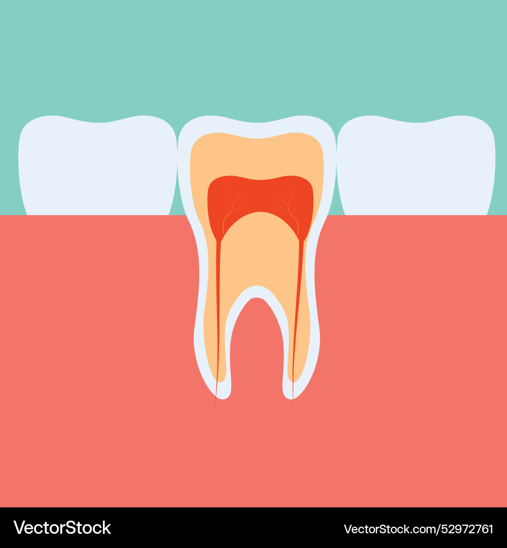 Teeth cartoon free space for text Royalty Free Vector Image