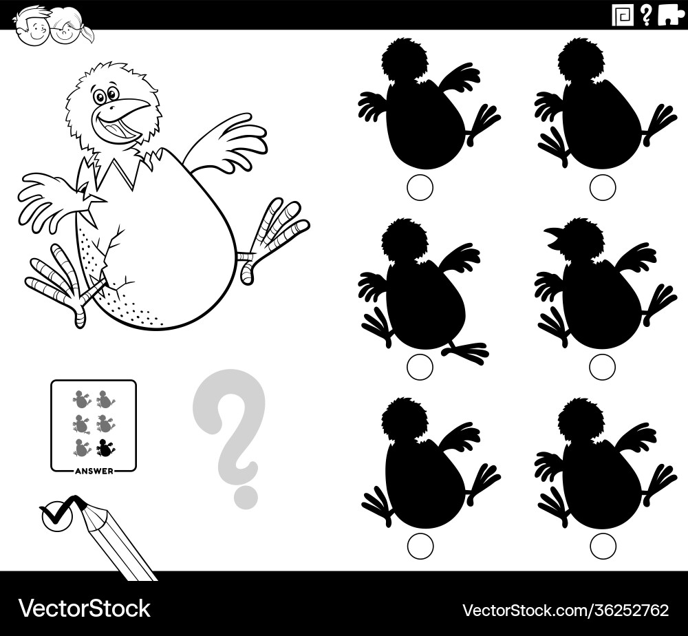 Educational shadows game with cartoon chick Vector Image