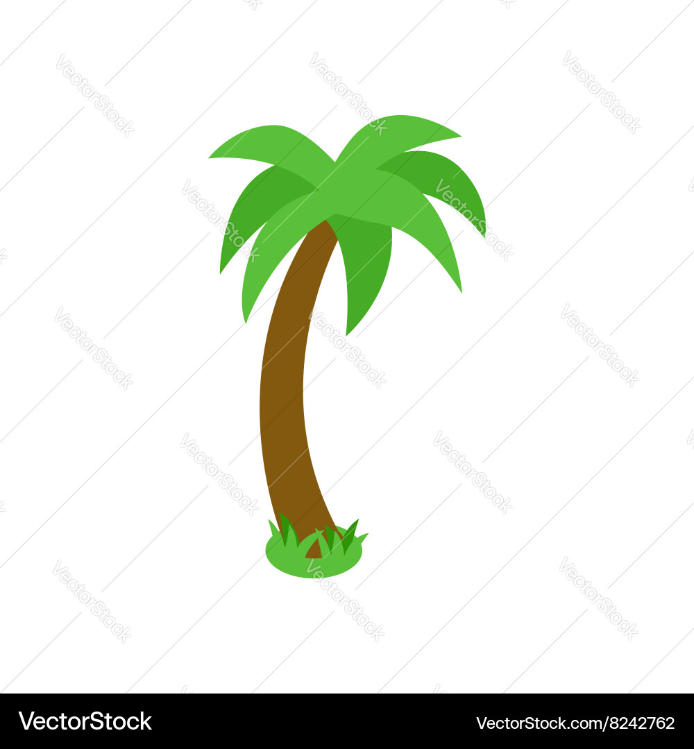 Tropical palm tree icon isometric 3d style Vector Image