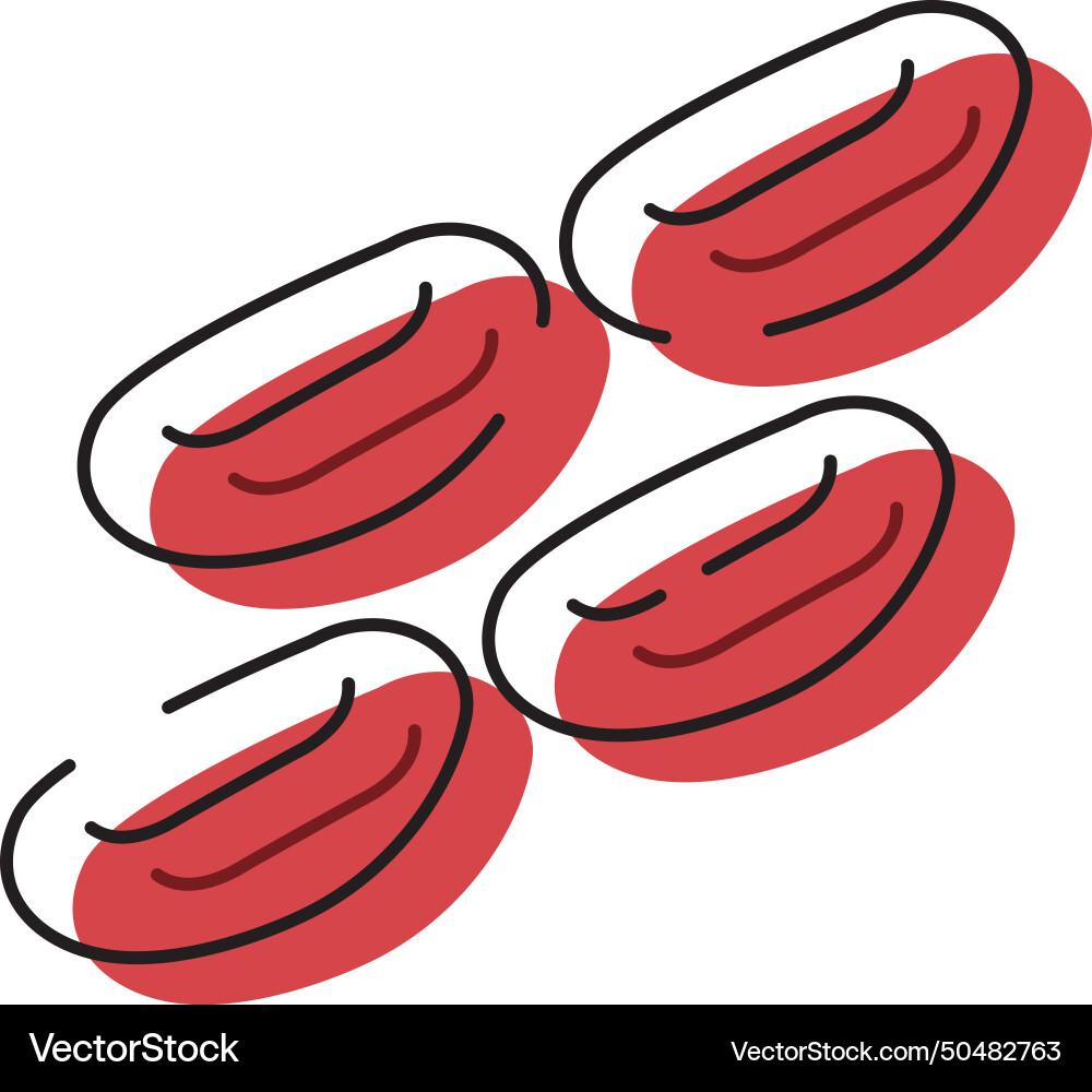 Colored blood cells medicine icon Royalty Free Vector Image