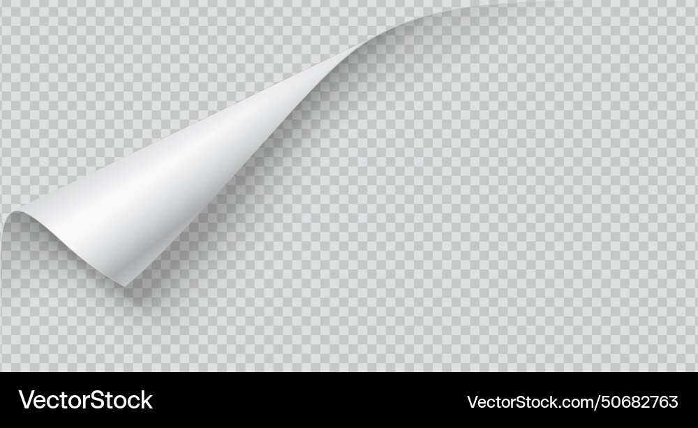 Curled corner of paper with shadow realistic Vector Image
