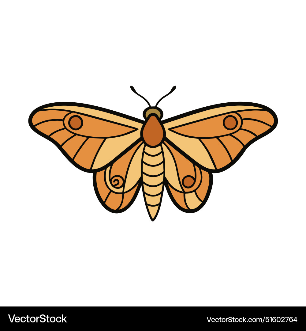 Atlas moth butterfly knocks icon Royalty Free Vector Image
