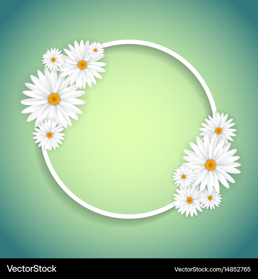 Decorative daisy frame Royalty Free Vector Image
