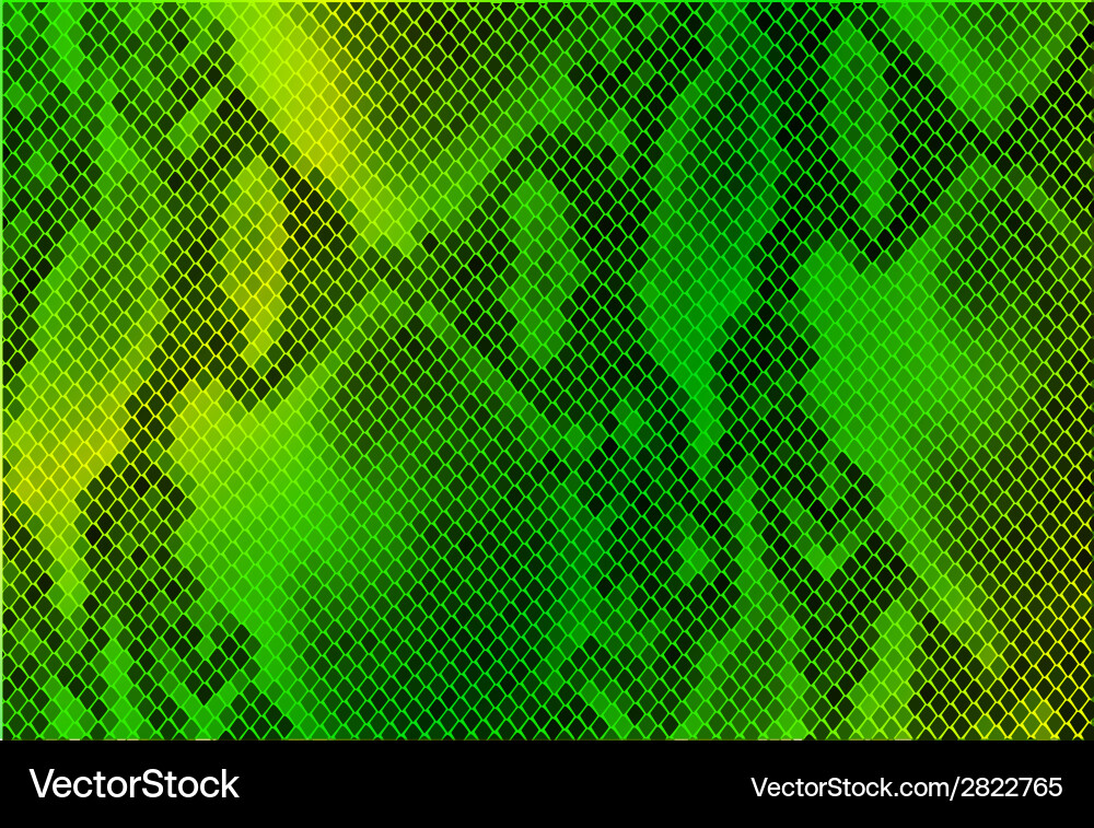Snakeskin Texture Royalty Free Vector Image - VectorStock