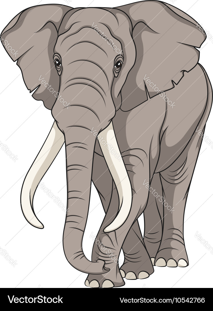 Color image of an elephant Royalty Free Vector Image