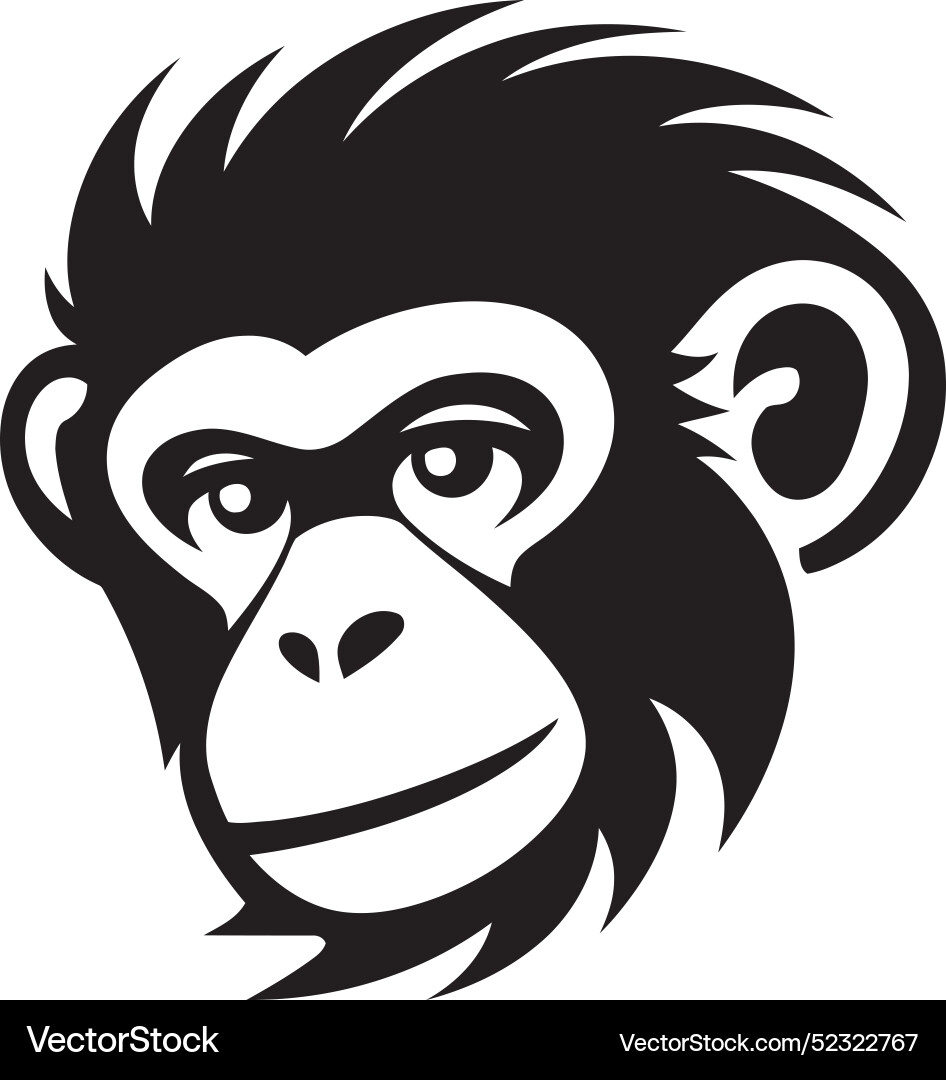 Chiaroscuro creations primate musings Royalty Free Vector