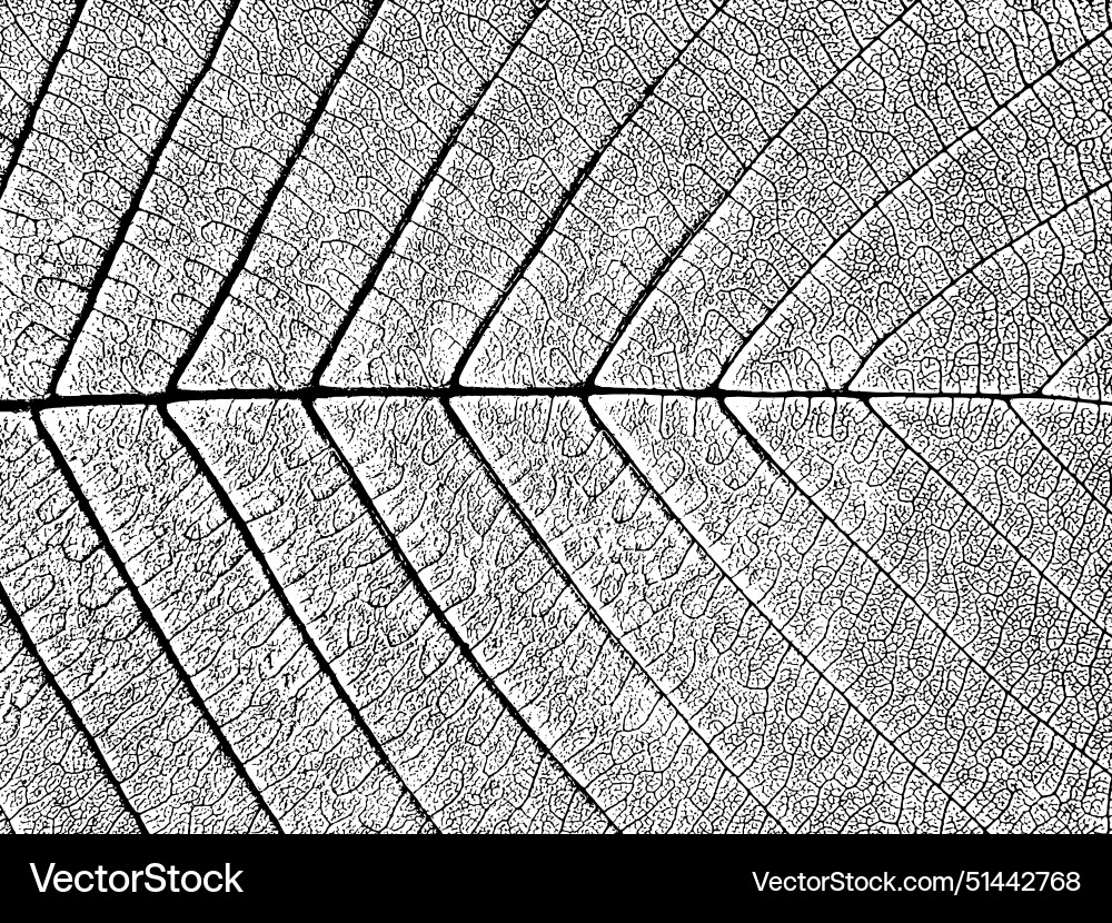 Black leaf realistic texture overlay Royalty Free Vector