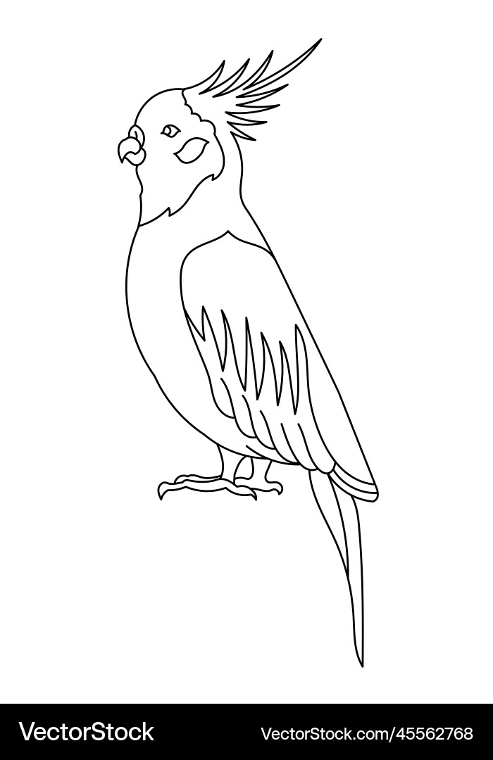 Cockatiel parrot bird editable outline stroke Vector Image